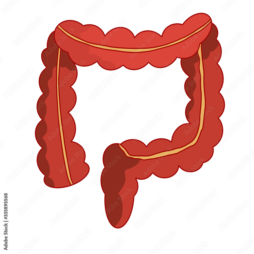 Cartoon illustration of human intestine. Medical care of alimentary ...