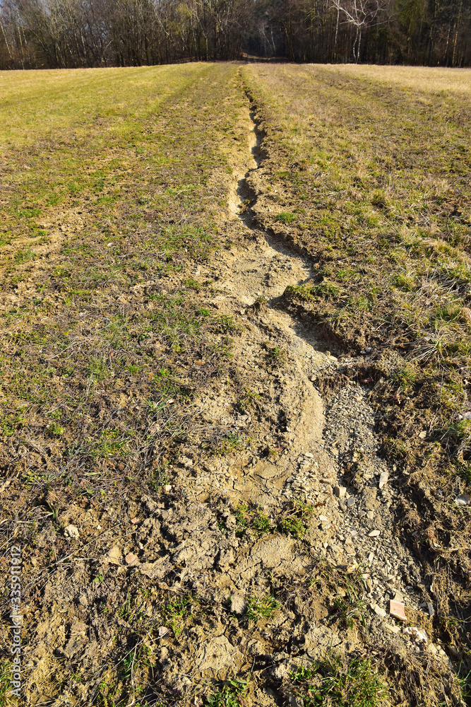 Poster Agriculture field grass degradation by soil erosion – Wall Art ...