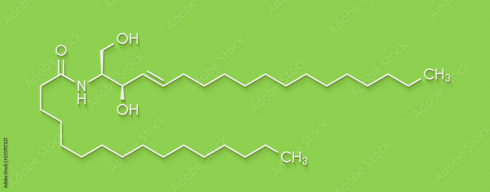 Ceramide cell membrane lipid molecule. Skeletal formula. Stock ...