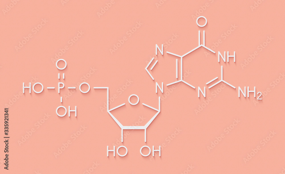 Guanosine monophosphate (GMP, guanylic acid) RNA building block ...