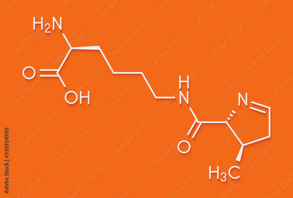 Pyrrolysine (l-pyrrolysine, Pyl, O) amino acid molecule. Skeletal ...