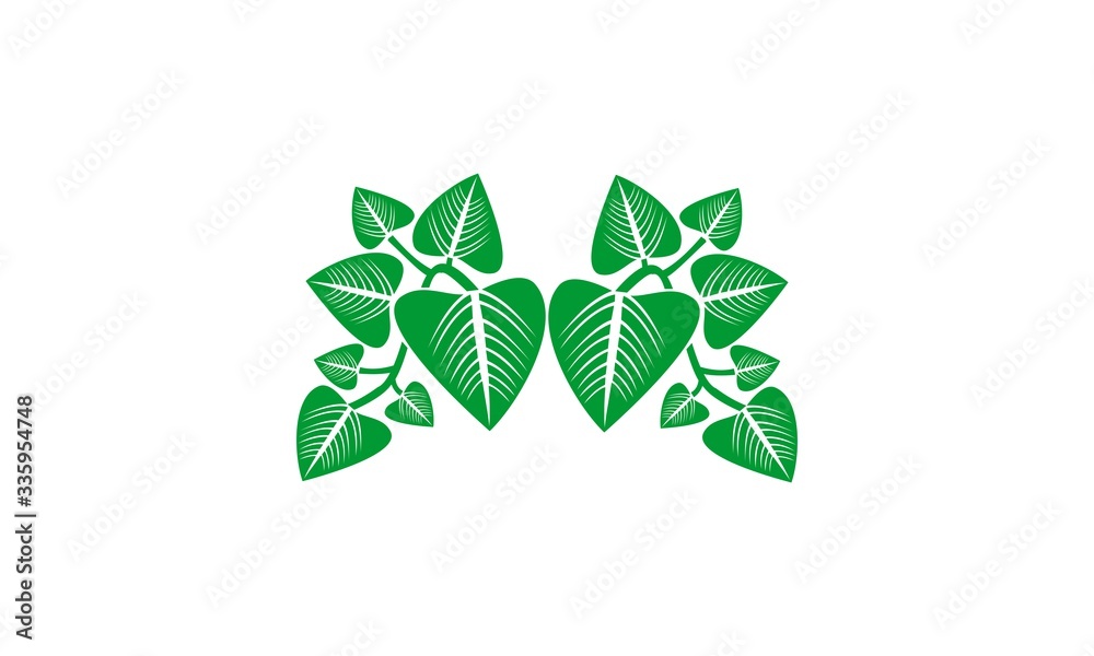 betel leaf, betel logo, betel design, betel design, leaf logo, leaf ...