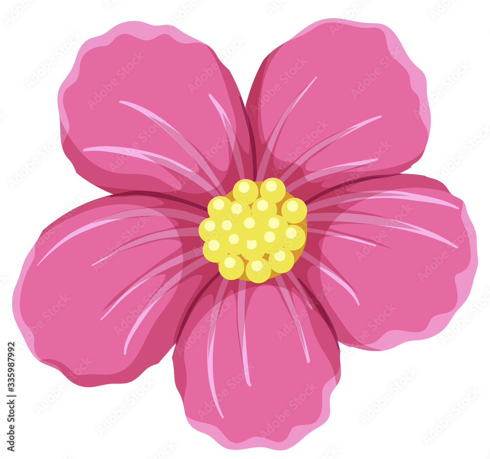 Pink flower on white background Stock Vector | Adobe Stock