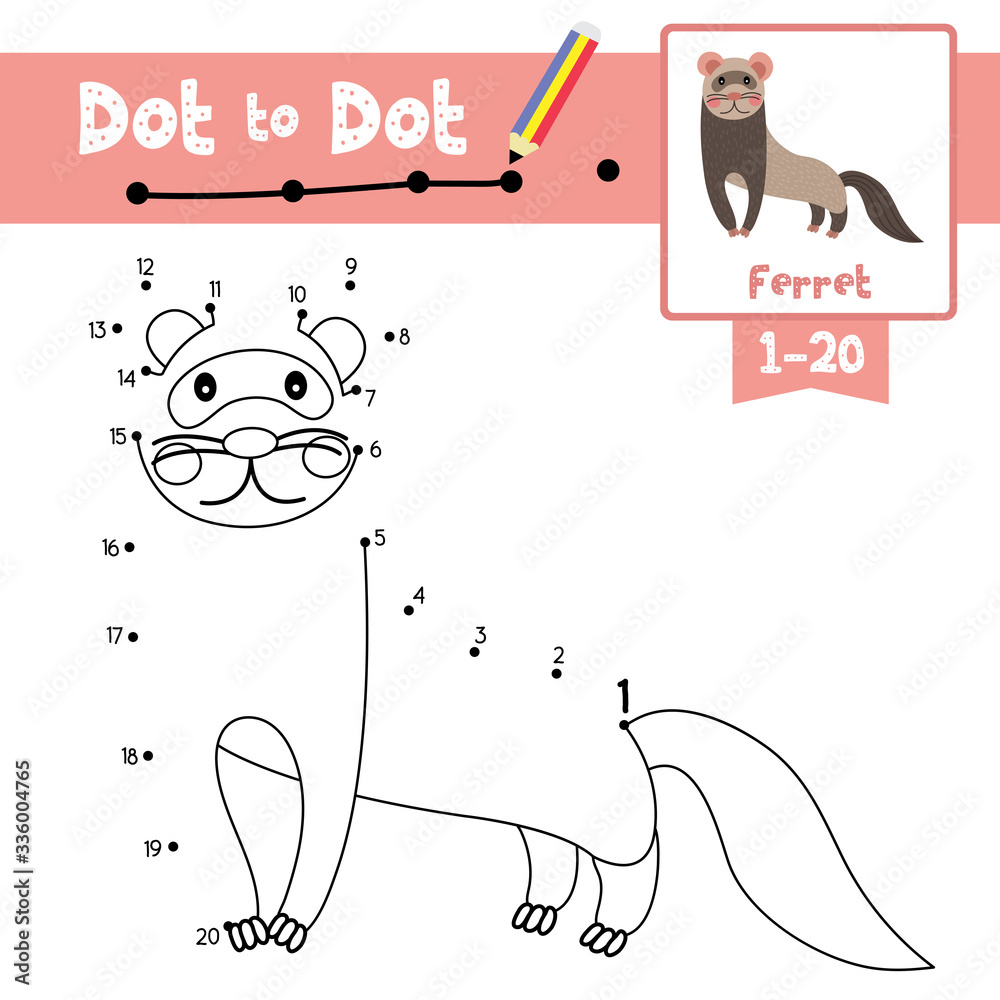 Dot to dot educational game and Coloring book Ferret animal cartoon ...