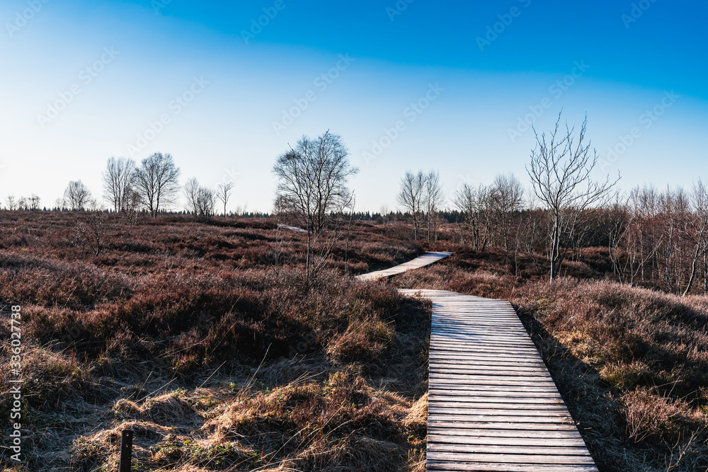 der Weg durchs Moor Stock Photo | Adobe Stock