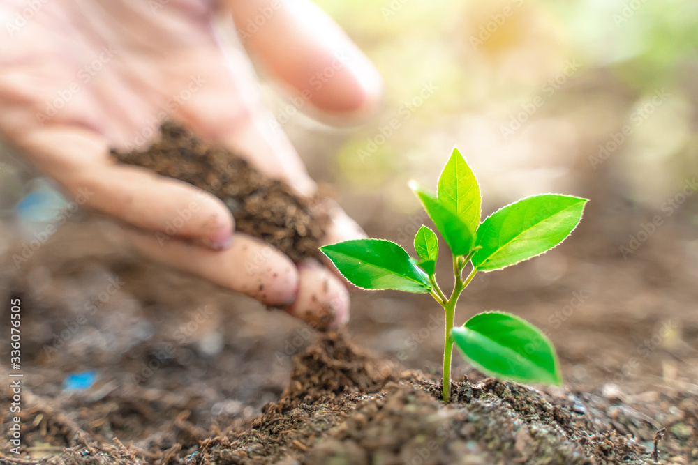 Eco earth day concept. Eco friendly. Save the planet.Hands holding ...