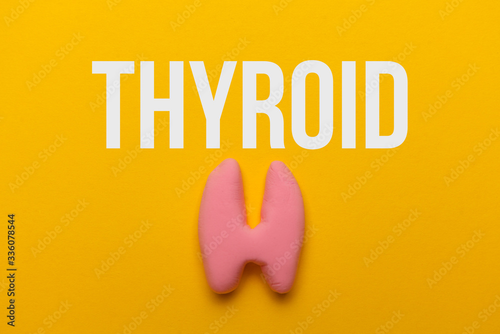 Human thyroid gland on a yellow background. Treatment and prevention of ...