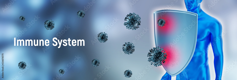 Immune System Protection Against Viruses And Bacterias Humans Shield