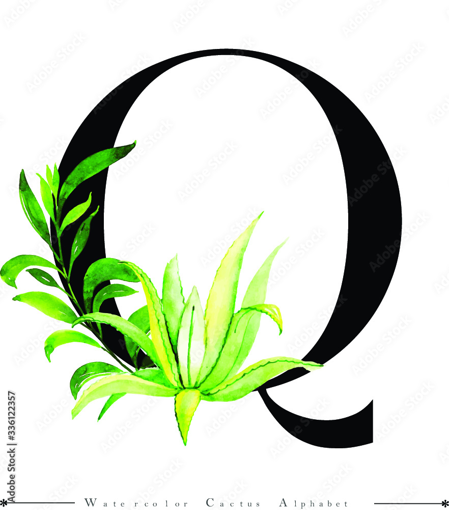 Alphabet Letter with Watercolor cactus and Leaves Background Stock ...