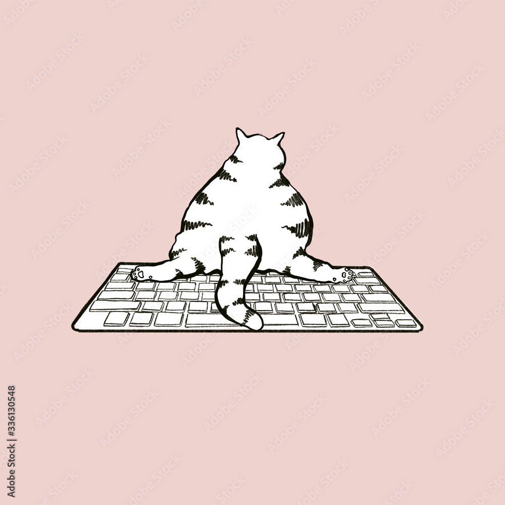 Keyboard Cat Stock Illustration | Adobe Stock