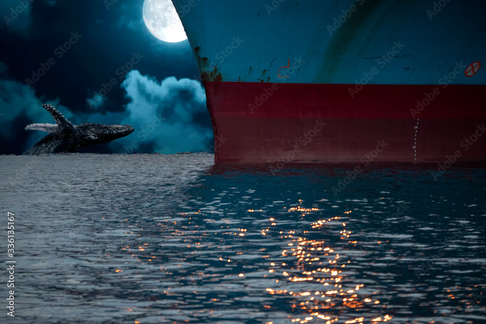 humpback whale breaching at night on full moon background newar ship ...