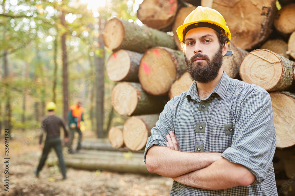 Forest workers loading long logs Stock Photo | Adobe Stock