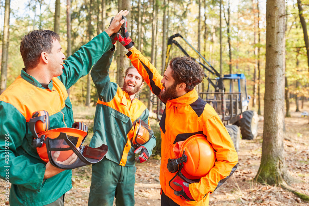 Group of forest workers celebrates as a team Stock Photo | Adobe Stock