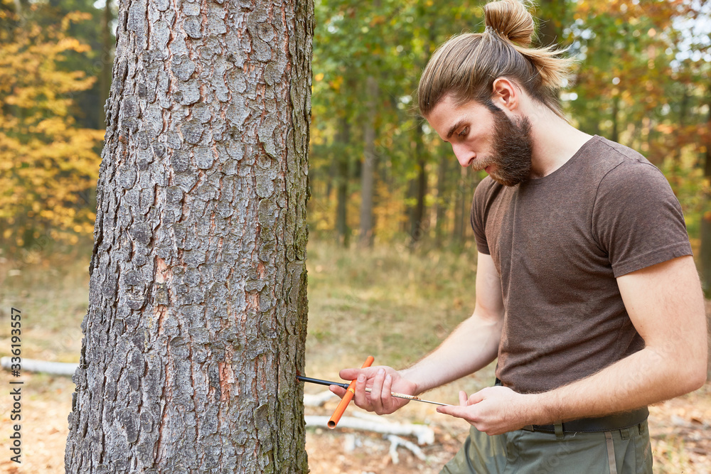Young ranger in the age determination of tree Stock Photo | Adobe Stock