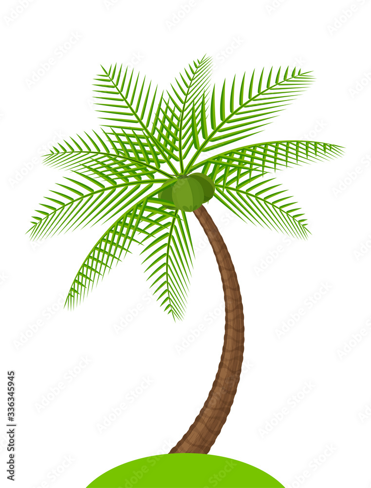 coconut tree simple isolated on white, illustration coconut palm tree ...