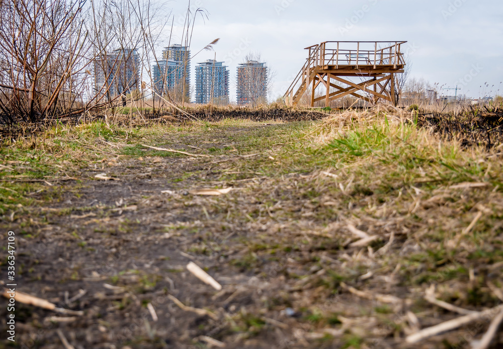 Natural delta between apartment blocks with skyscrapers in the ...