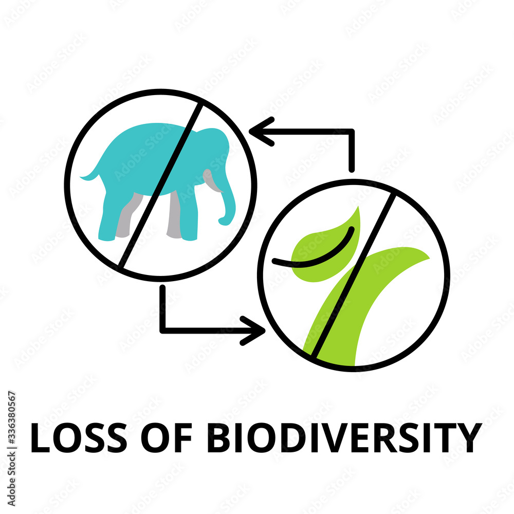 Infographic concept of Loss of Biodiversity Stock Vector | Adobe Stock