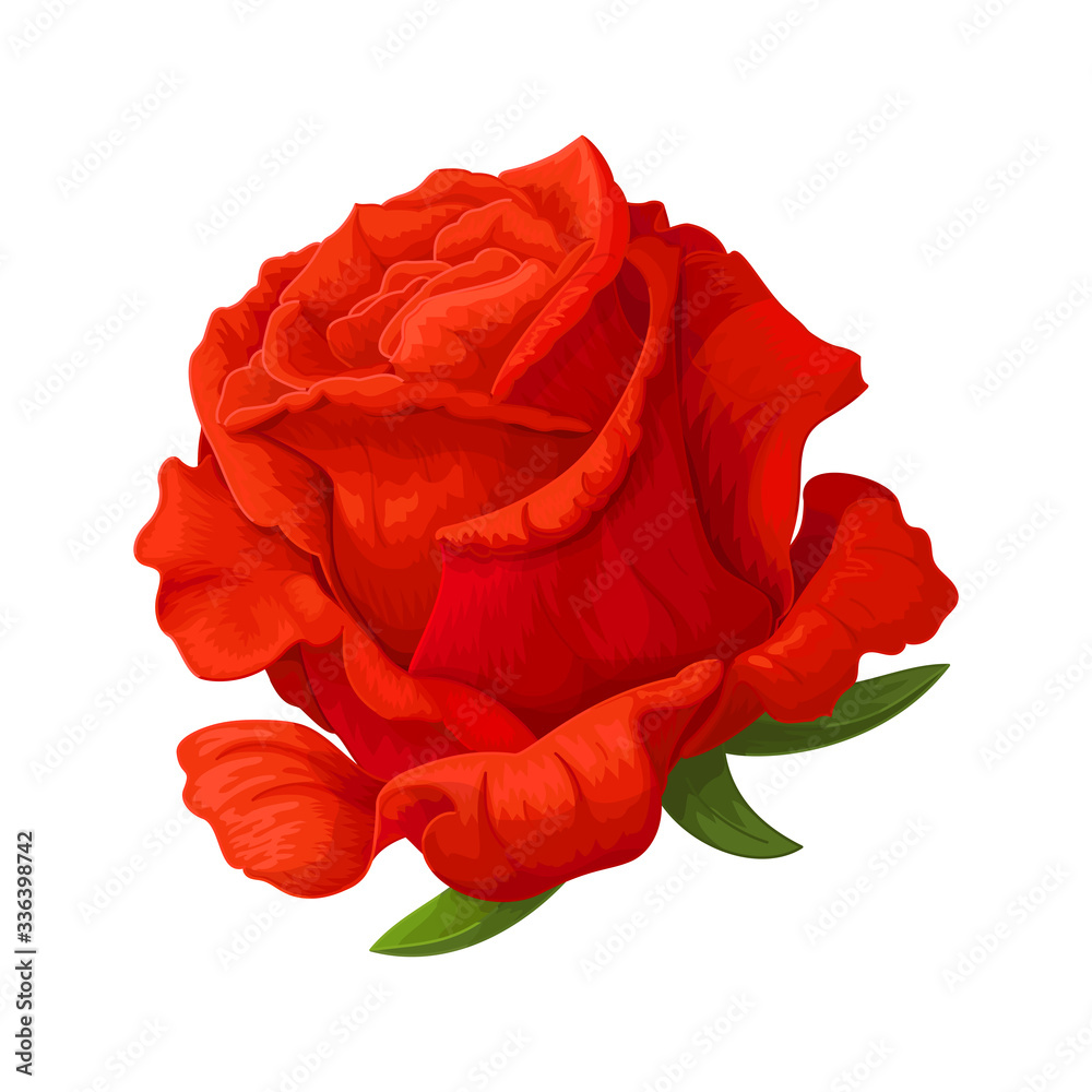 vector rose flower clip art on white isolated background Stock Vector ...