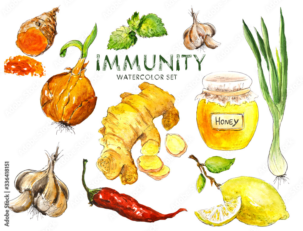 immunity strengthening set vitamins watercolor drawing Stock ...