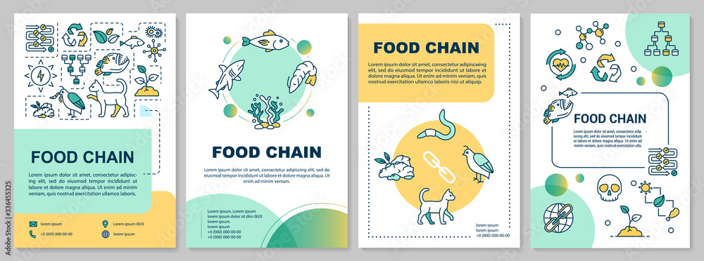 Food chain brochure template. Producers and consumers web. Flyer ...