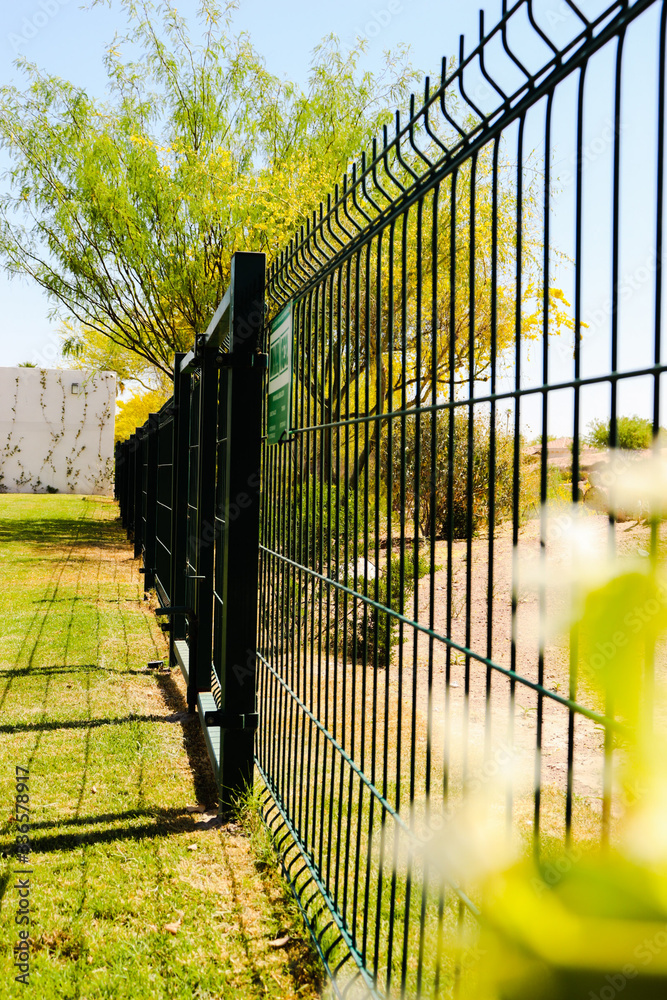rejas color verde en jardín Stock-Foto | Adobe Stock