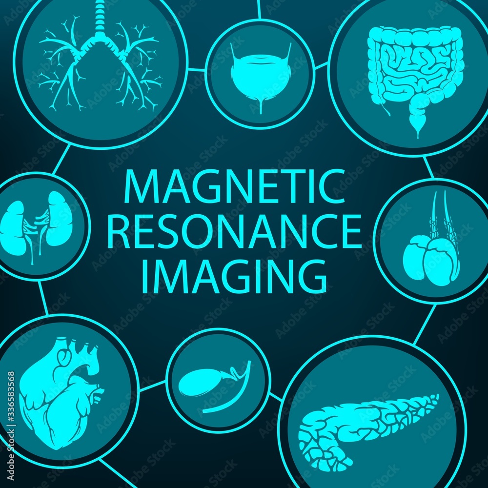 Vetor de MRI magnetic resonance imaging, medical diagnostic and ...