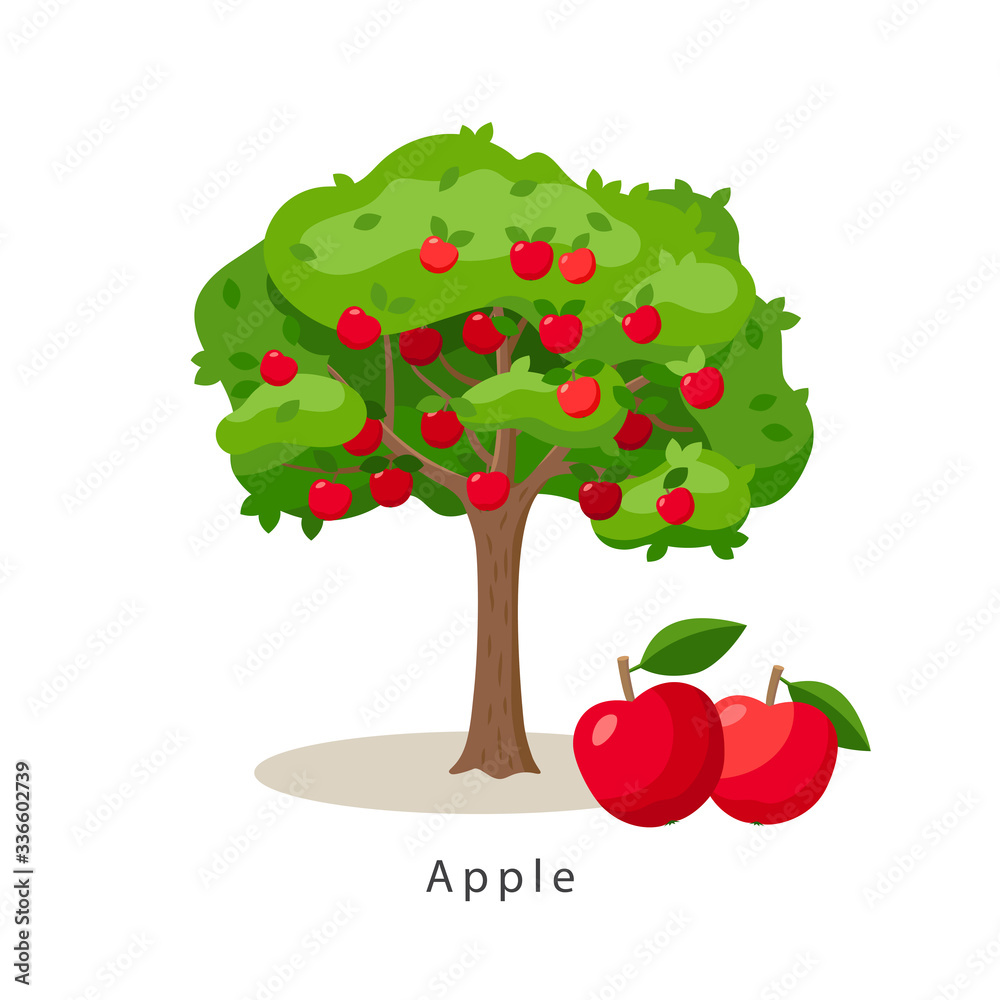 Apple tree vector illustration in flat design isolated on white ...