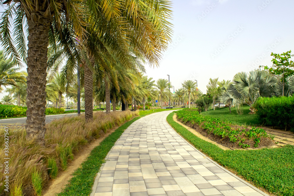 Quiet city street in Dubai. Tiled sidewalk among the road with green ...