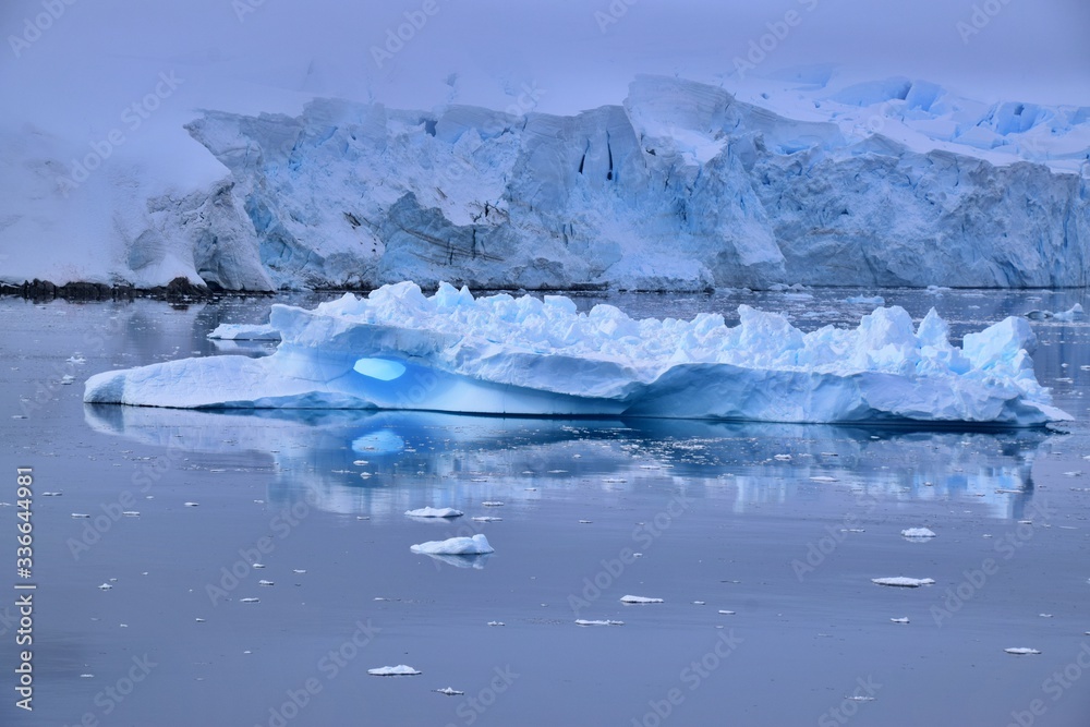 Albatross Bird Iceberg Shape , Paradise Bay , Antarctica Stock Photo ...