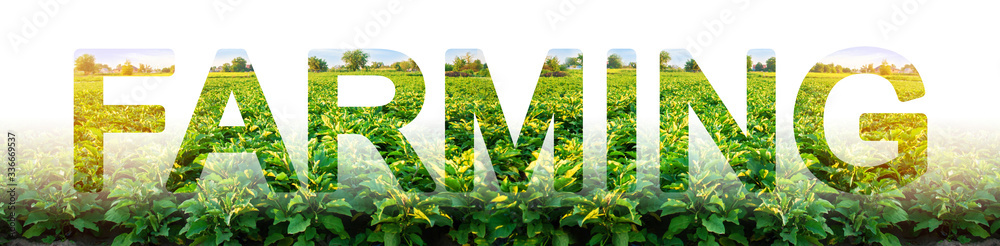 Word Farming on background of field plantation. Agroindustry and ...