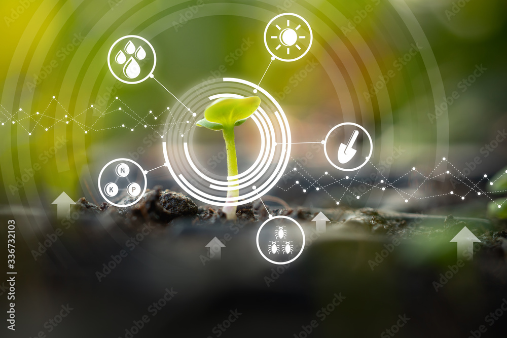 Growing seedling in cultivated agricultural farm field with modern ...