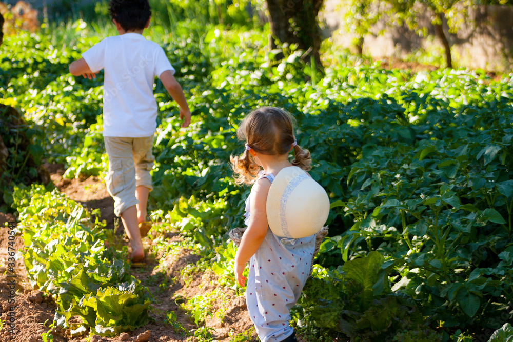 Little girl chasing boy in the orchard on a summer day foto de Stock ...