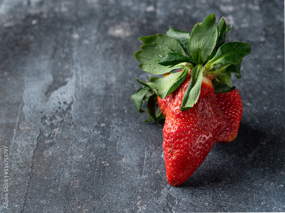Ugly strawberry (strange and imperfect shape) on blue and grey concrete ...