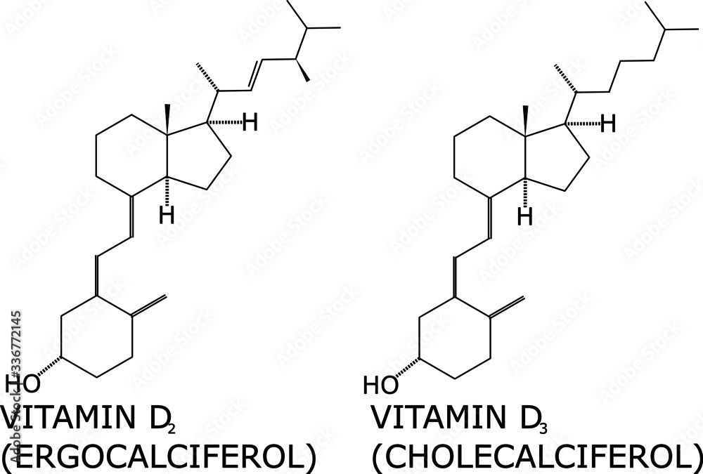 Vitamin D2 and D3 molecular structure vector. Helps calcium absorption ...