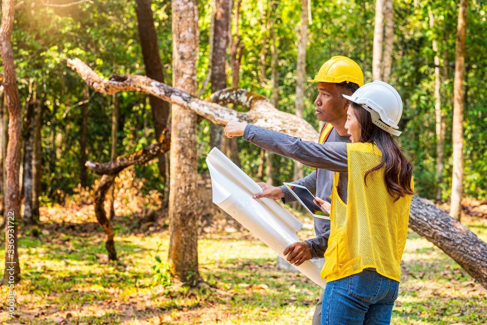 The supervisors are constructing roads in the forest. Young Engineer ...
