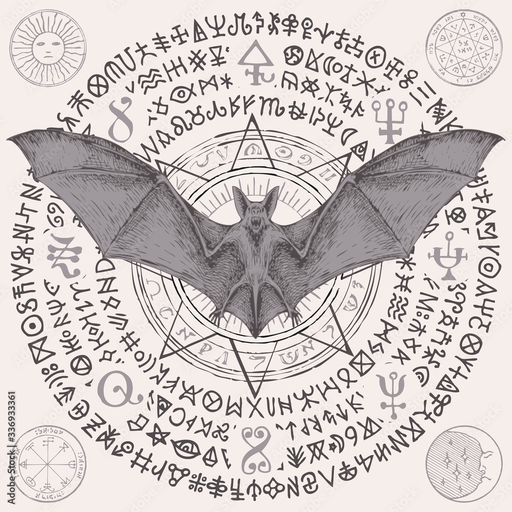 Vector hand-drawn illustration of a bat with open wings. Witchcraft ...