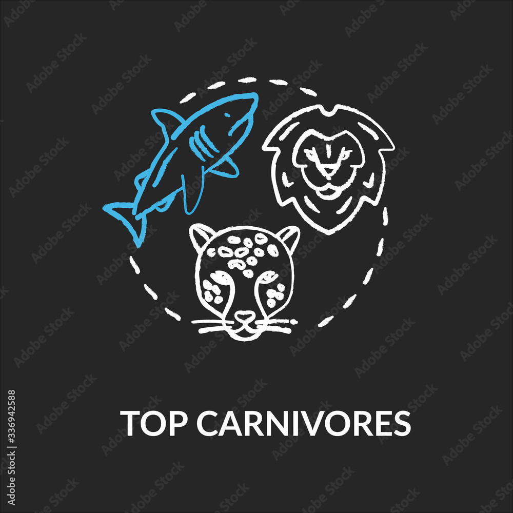 Top carnivores chalk RGB color concept icon. Wild animals. Food chain ...