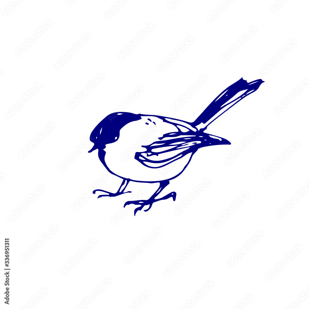 Wild bird, a titmouse. Hand drawn ink icon, black and white line art ...