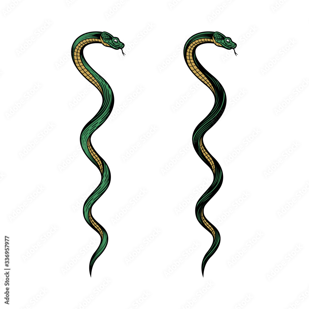 Two twisted snakes. Colorful vector illustration in engraving technique ...