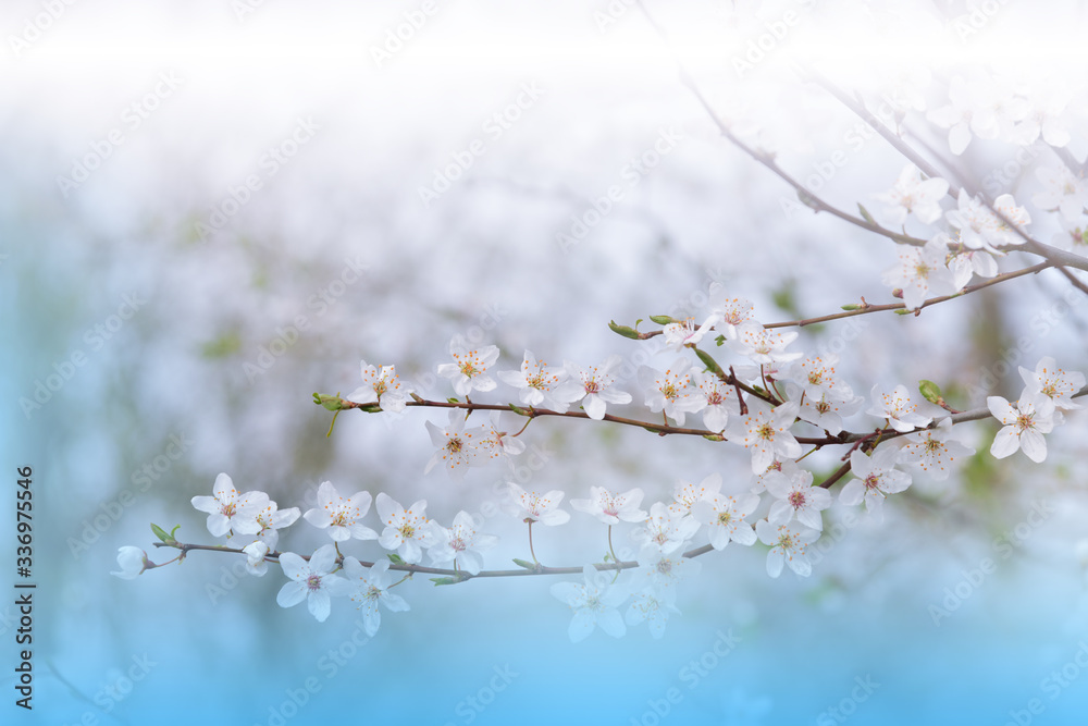 Creative Wallpaper Nature Background Design