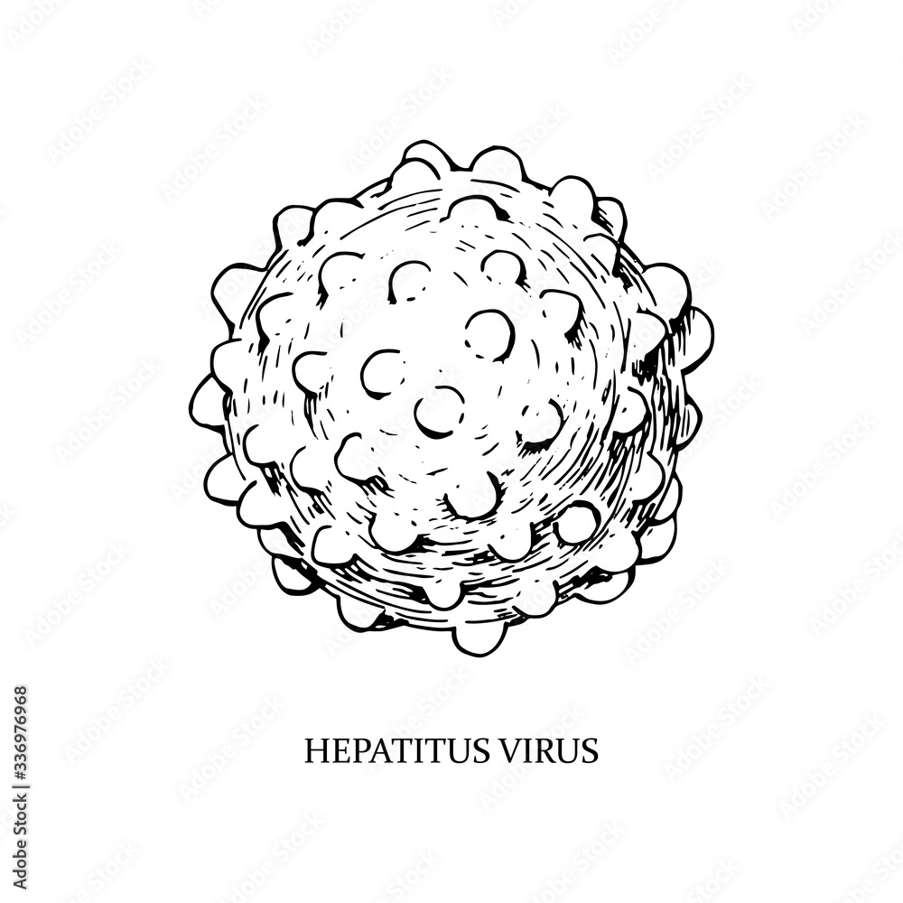 Hand drawn hepatitis virus illustration with name in sketch style ...