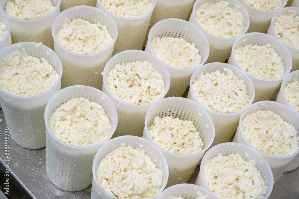Stage in production of cheese - Forming pressing of cheese mass. Cheese ...