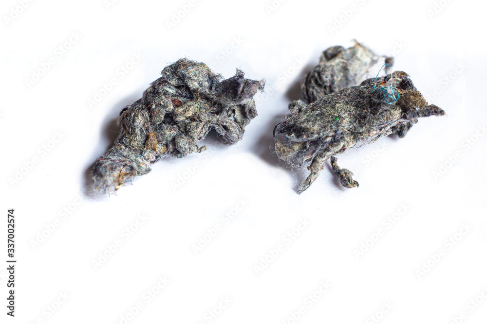 Dust, Fluff, Remnant of clothes on laundry after removing from clothing ...