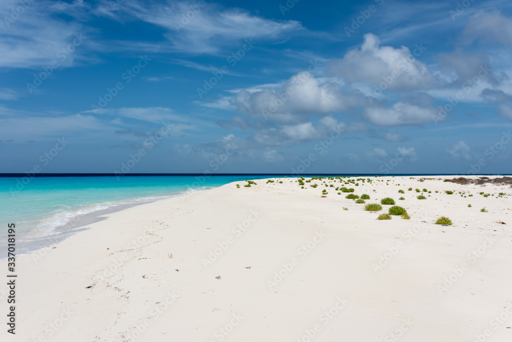 Foto de Tropical white beach with crystalline water in Cayo de Agua ...