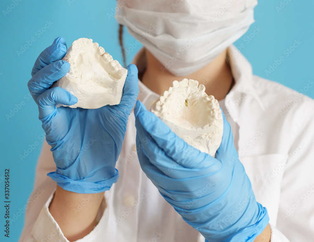 Doctor shows plaster cast of human jaw, concept for dentists about ...