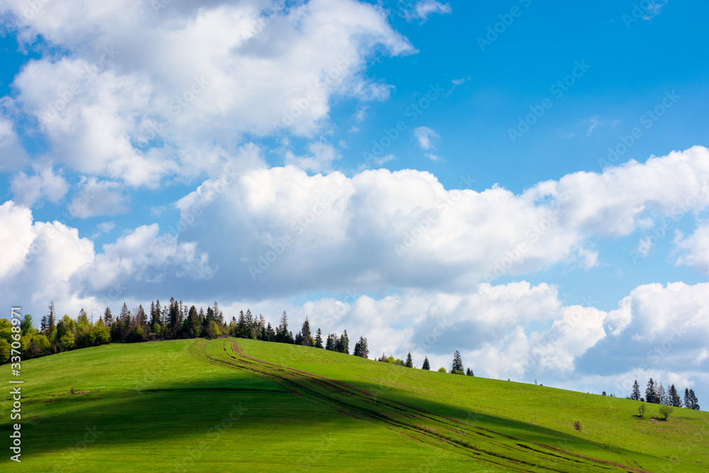 wonderful sunny weather with clouds above the hill. green grass on the ...