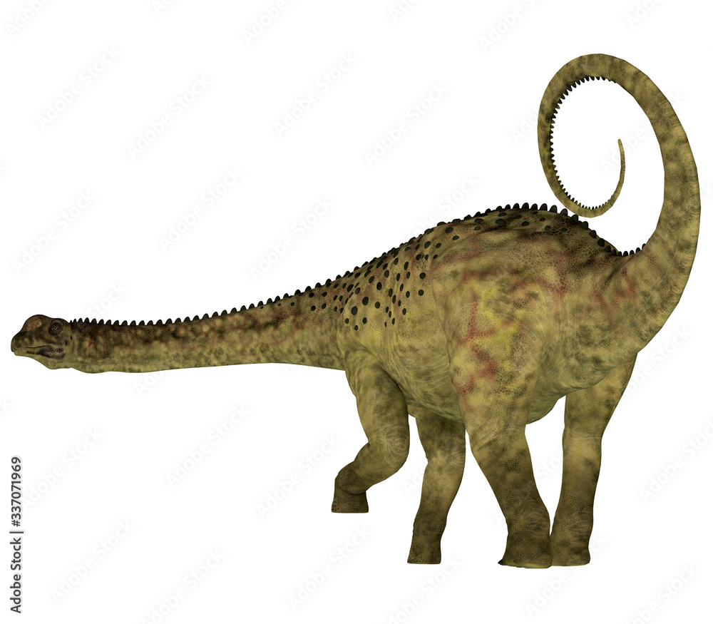 Uberabatitan Dinosaur Tail - Uberabatitan was a herbivorous sauropod ...