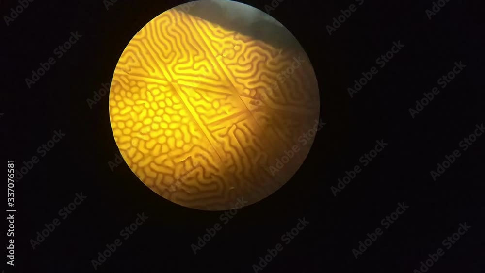 Magnetic domain under microscope magnification. Micro chip domain walls ...