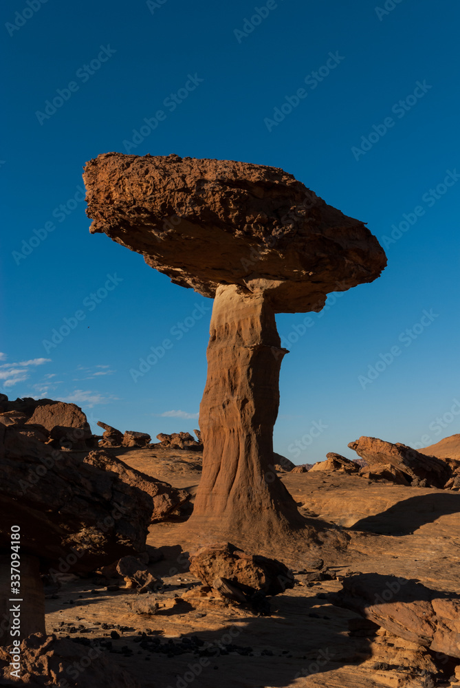 Sandstone towers in form of mushroom in the Ennedi desert of Chad ...