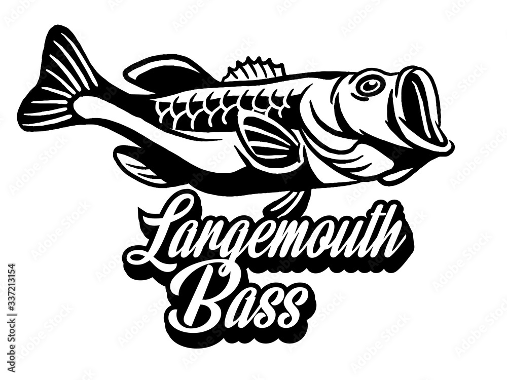 Illustration of a bass with fins, tail and open mouth Stock Vector ...